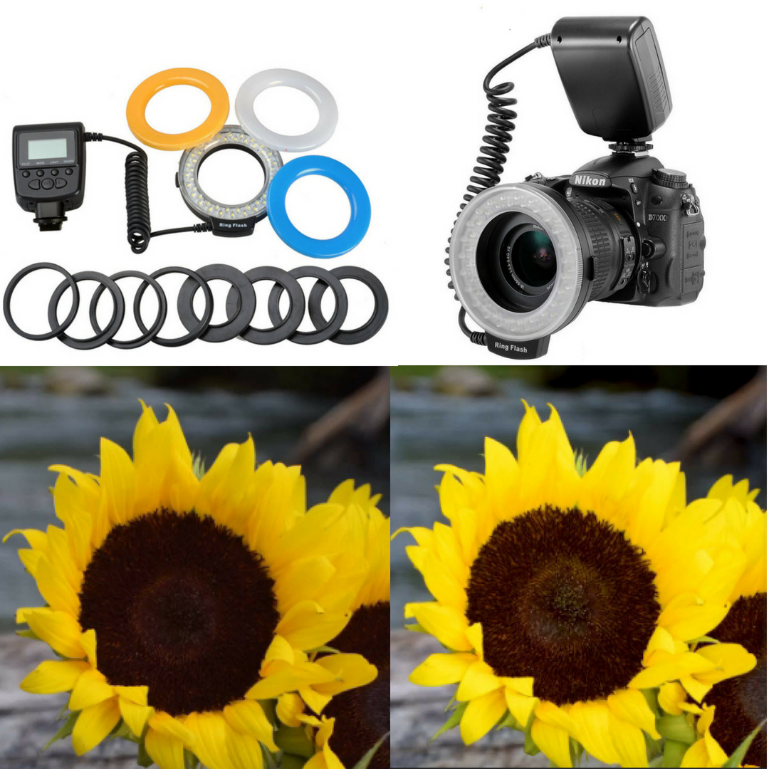 FlashPoint Ring Light