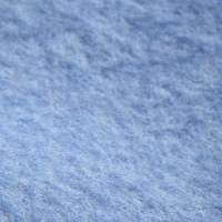 Blue Spring Jacket (Beautiful)