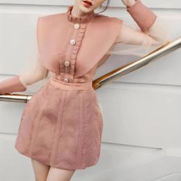 Pink Transparent Long Sleeve Mini Dress (Elegant & Sexy)