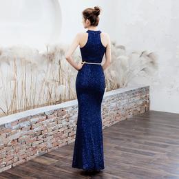 Victoria's Shimmer Dress