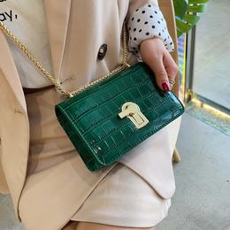 Green Crossbody Shiny Purse (Beautiful)