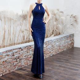 Victoria's Shimmer Dress