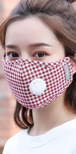 Red Striped Face Cover mask With Changeable Filter (Cute)